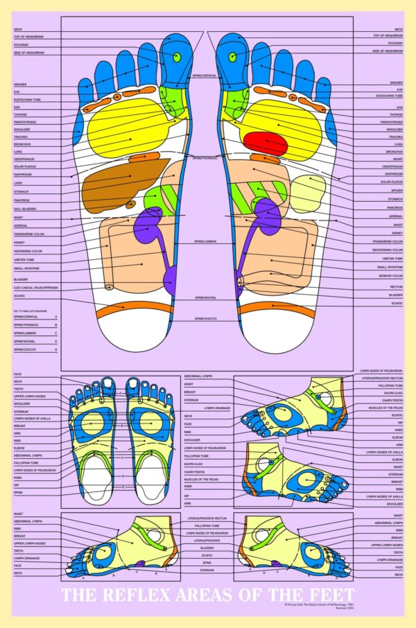 Small Colour Chart of the Reflex Areas of the Feet (10"x15") - The ...