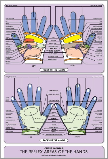 Colour Chart of Reflex Areas of the Hands (13.5"x18") - The Bayly ...